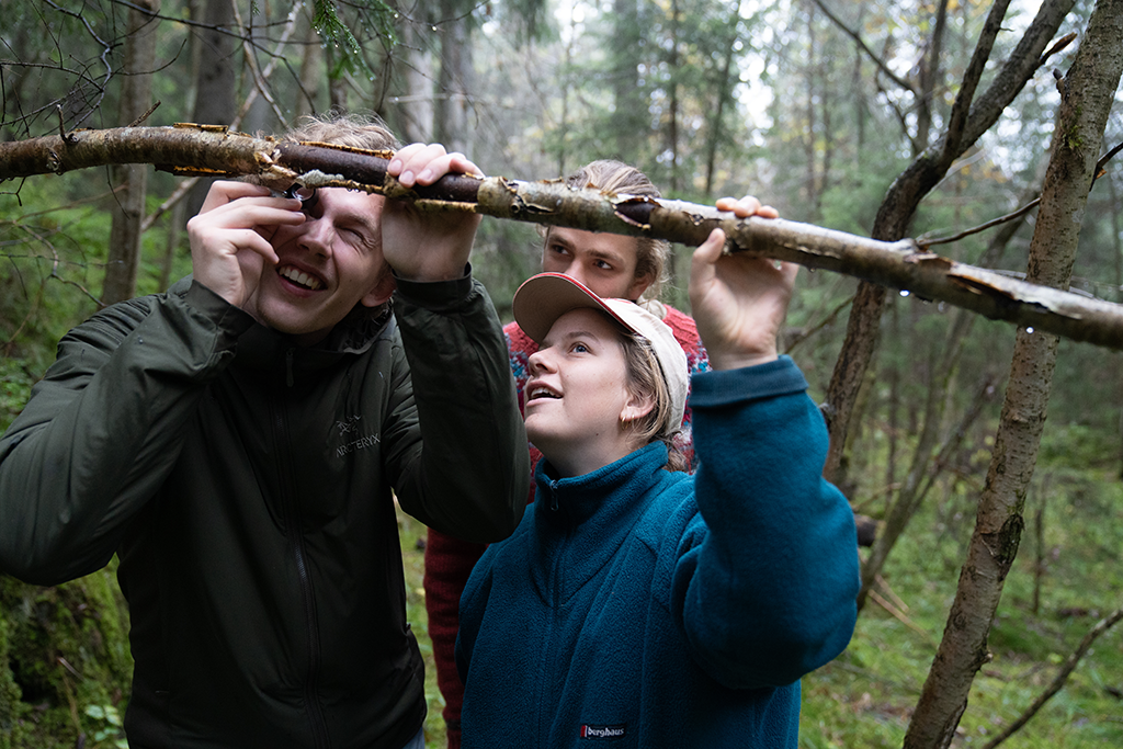 Undervisningsopplegg om skog - Skogglede