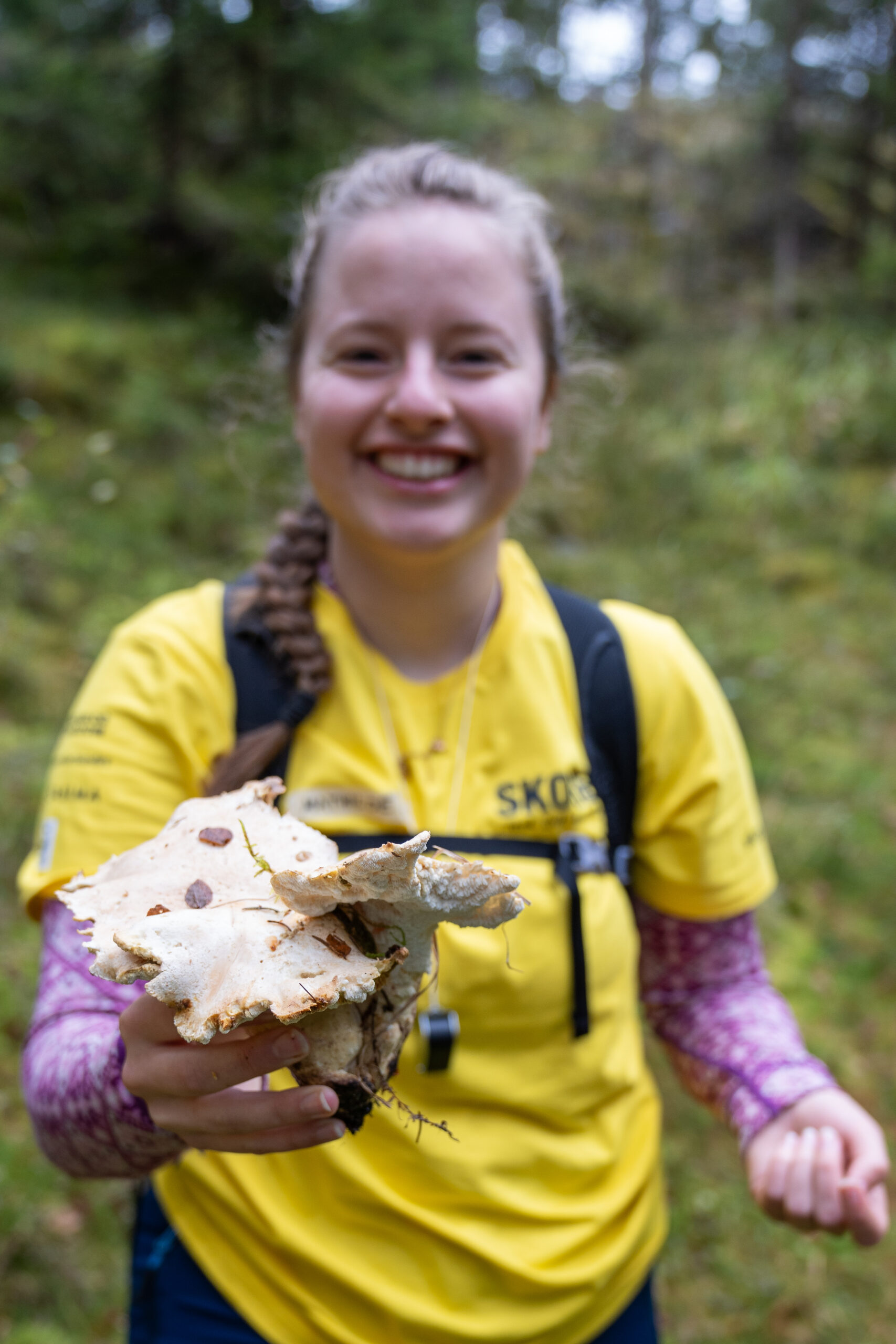 Bli skogambassadør - Skogglede